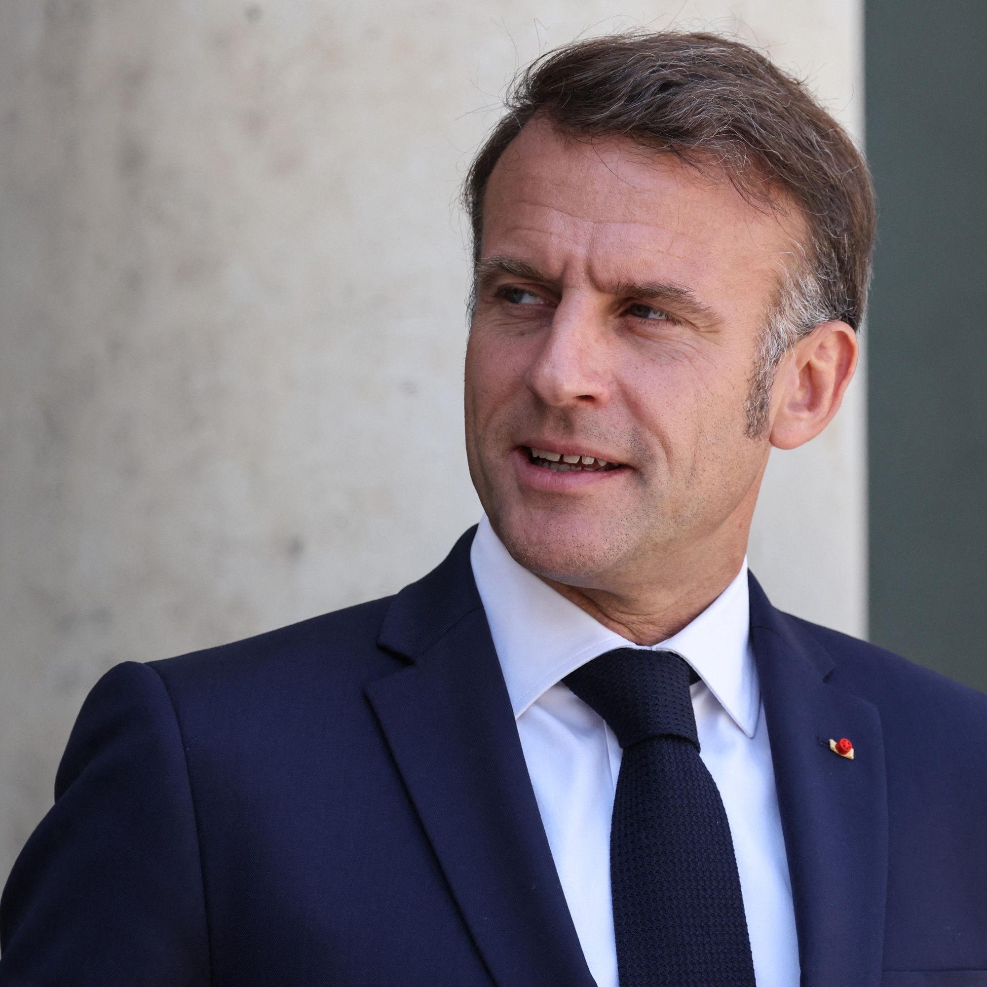 Loi Duplomb : qu'est-ce que l'article 10 de la Constitution qui pourrait être déclenché par ...