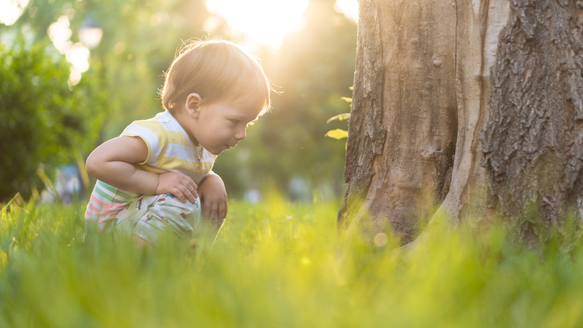 Label Vie : prendre soin de la petite enfance en réconciliant santé et ...