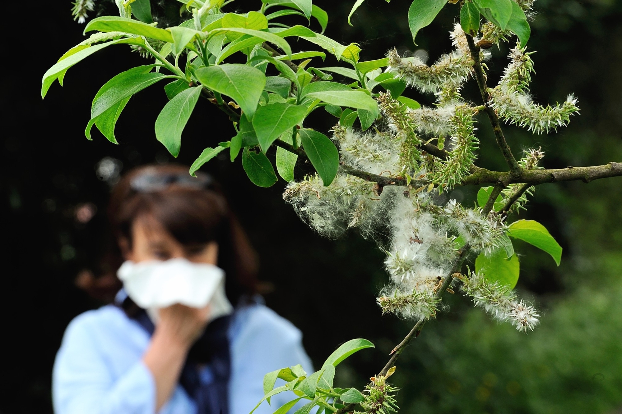 "C'est la pire période qui démarre" : symptômes, durée, pollution ...