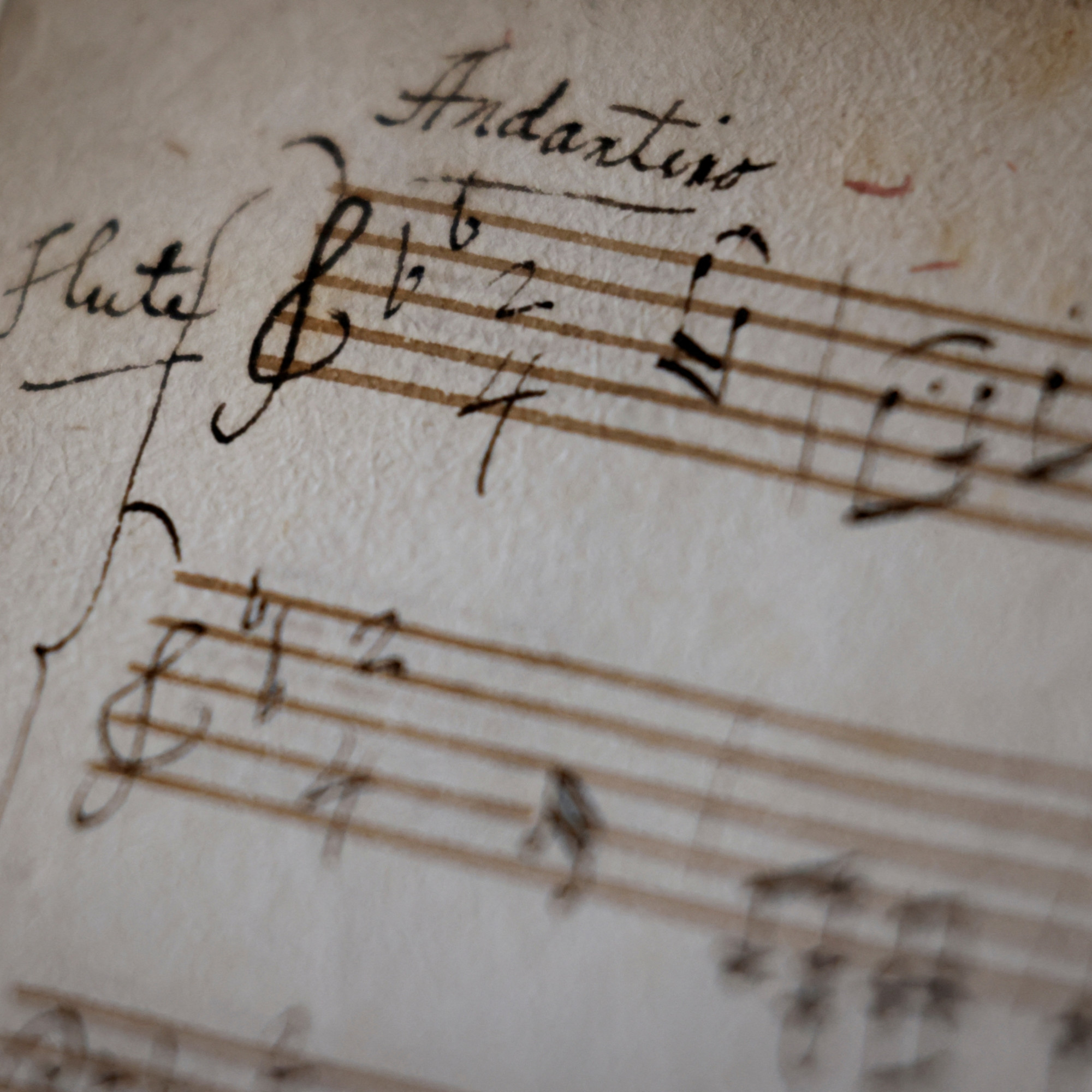 "J'étais loin de me douter de ce que j'allais trouver" : un manuscrit ...