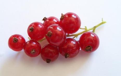 Un cocktail de salé et d'acidulé : la sardine et la groseille