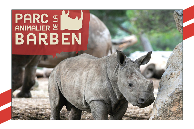 Vos entrées pour le parc animalier de La Barben avec RTL2 Marseille