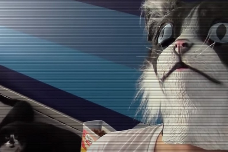 VIDÉO - Il terrifie ses chats en portant un masque de chat