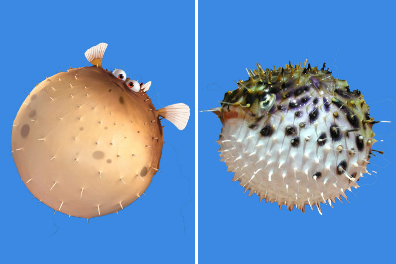 EN IMAGES - "Le Monde de Dory" : voici à quoi ressemblent les poissons ...