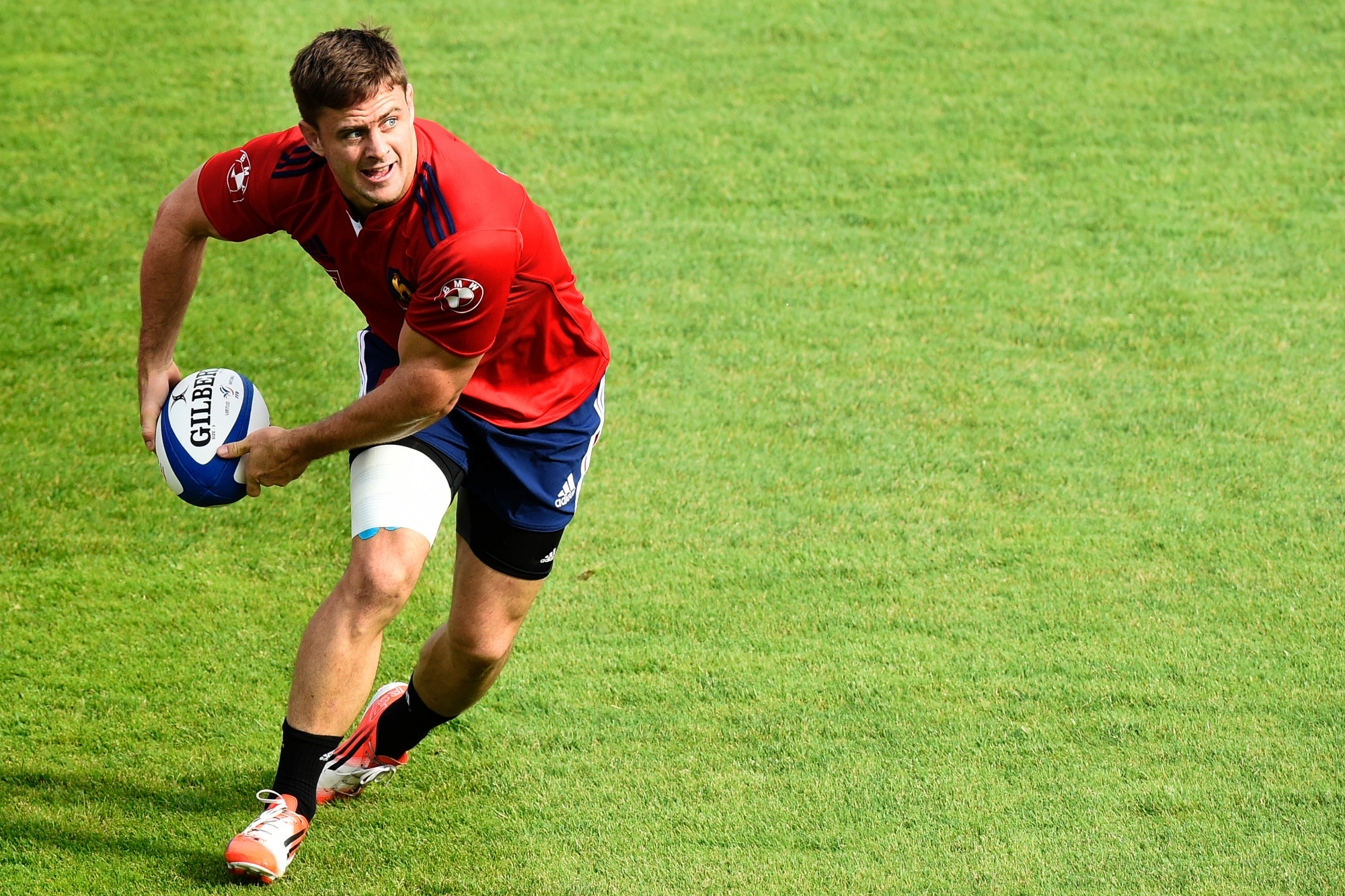 XV de France : Rory Kockott, un Sud-Af' chez les Bleus