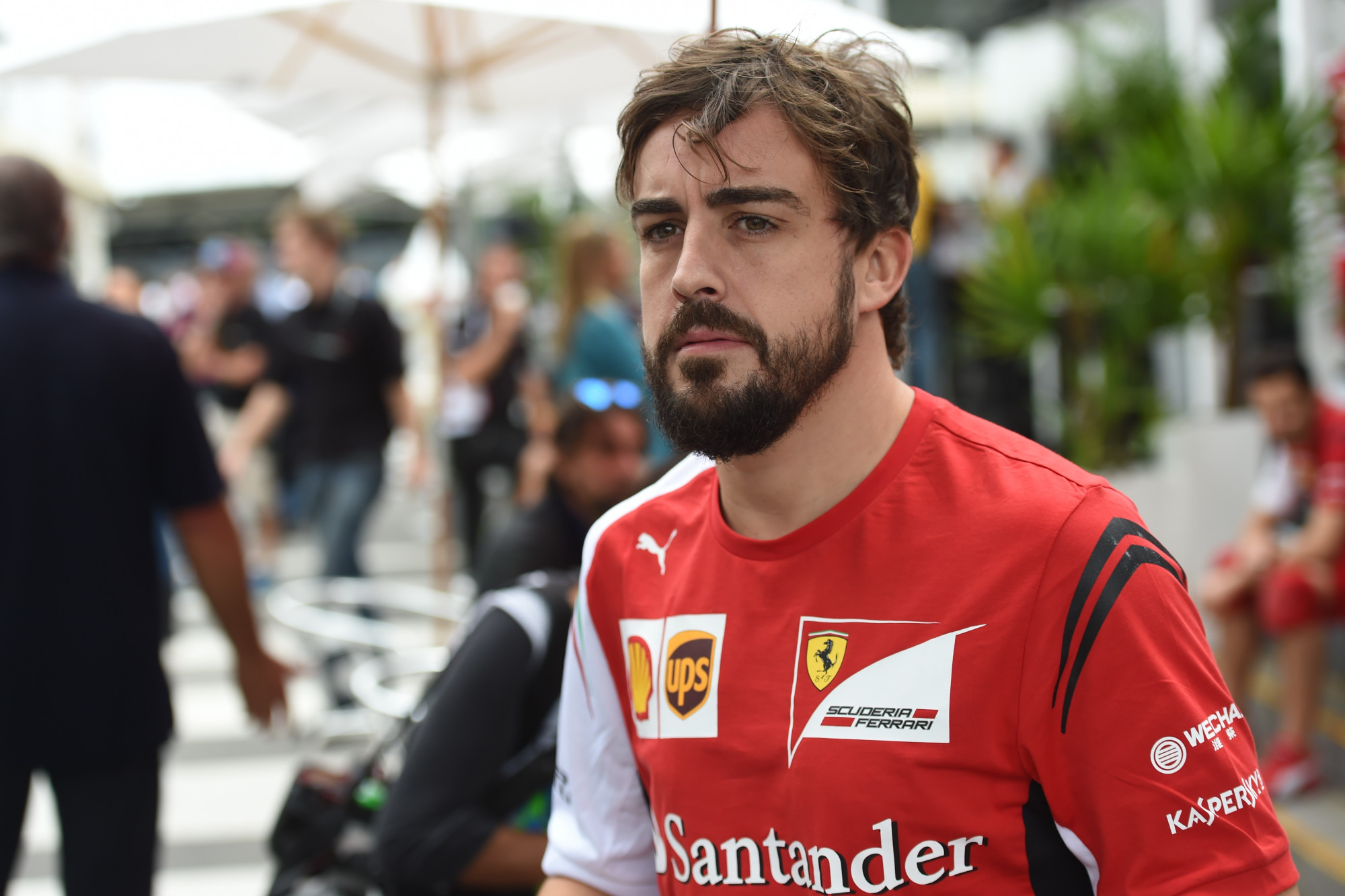 Fernando Alonso de retour chez McLaren en 2015