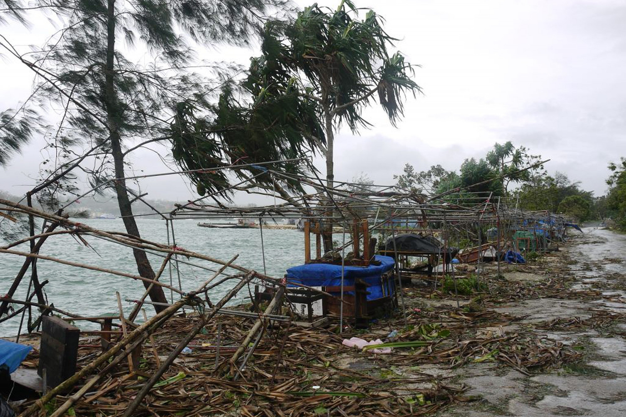 VIDÉO - Cyclone au Vanuatu : l'état d'urgence décrété