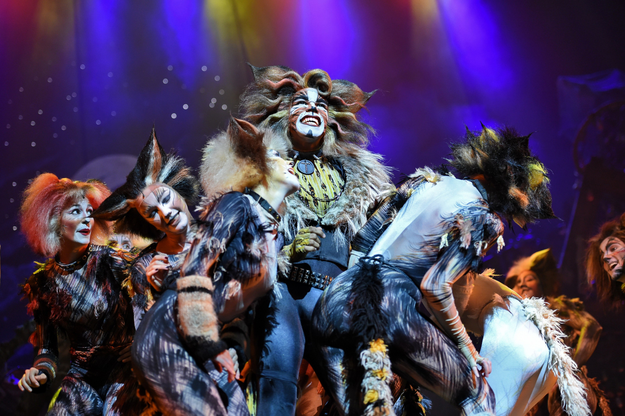 La comédie musicale événement "Cats" en France à la rentrée