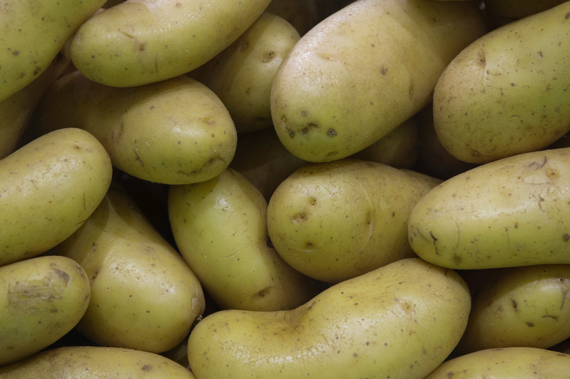 RTL Vous Régale vous donne la patate