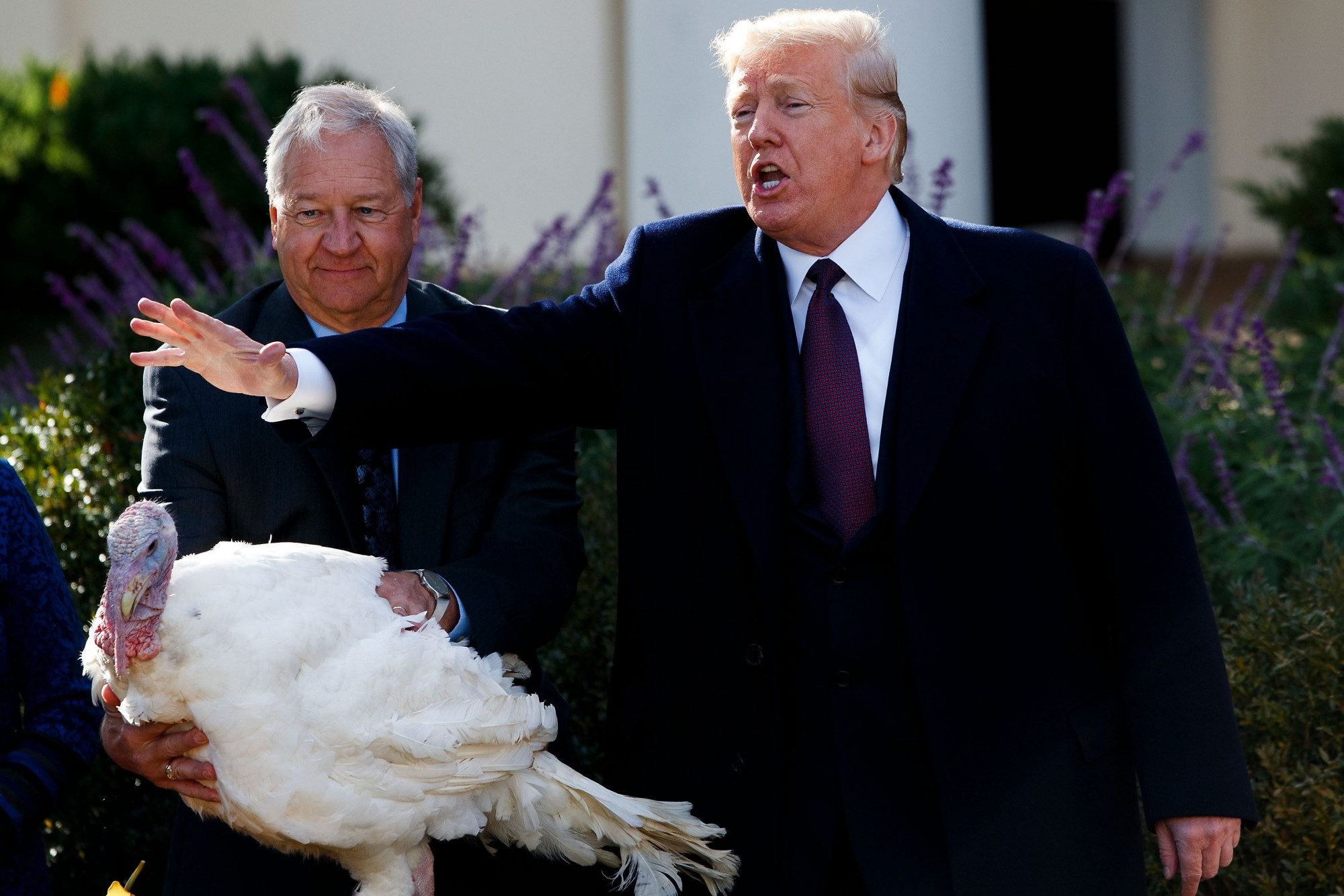 Qu'est-ce que Thanksgiving, cette fête traditionnelle américaine avec ...