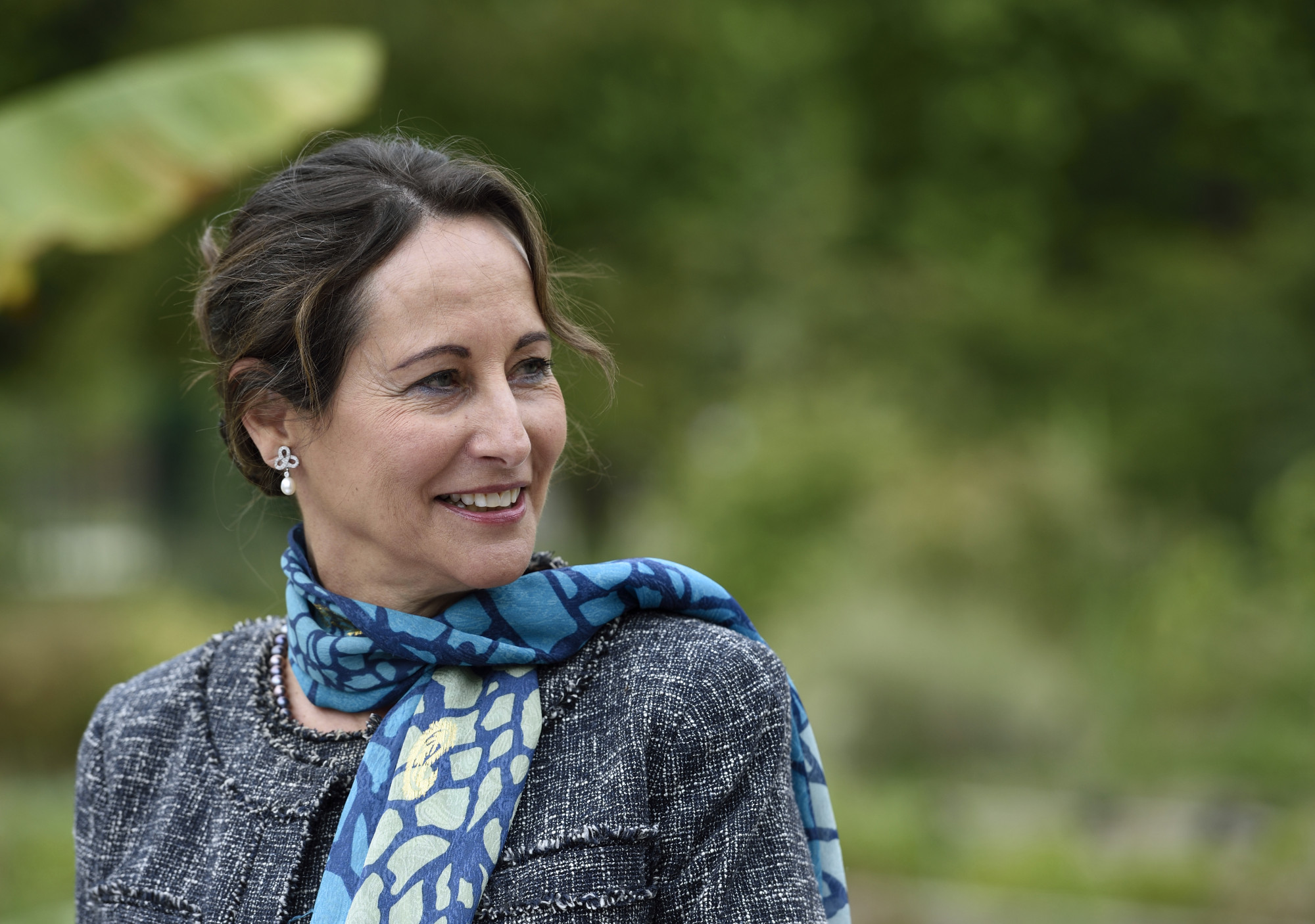 Pour Ségolène Royal, Thomas Thévenoud "n'a pas sa place à l'Assemblée ...