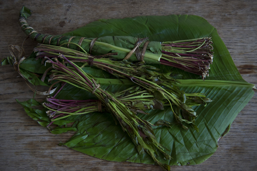Strasbourg : 236 kg de khat saisis lors d'un contrôle routier