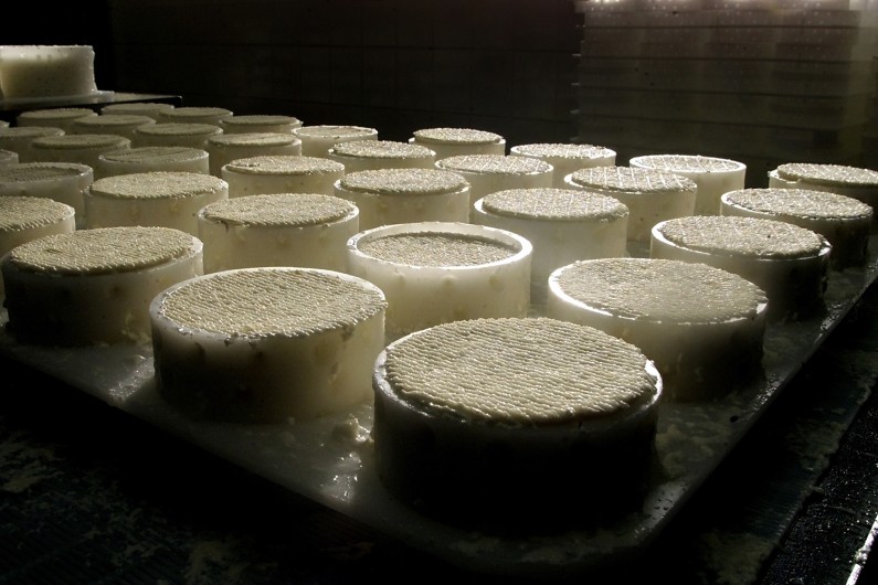 Une fromagerie utilise le petit lait pour produire de l'énergie